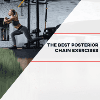 The Best Posterior Chain Exercises - [P]rehab